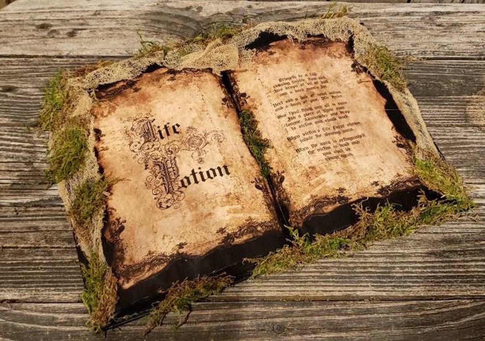 Life Potion Hocus Pocus Inspired Spell Book Halloween Home - Etsy