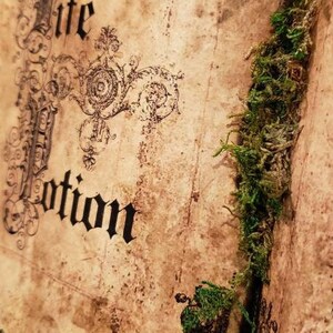 Life Potion Hocus Pocus Inspired Spell Book, Halloween Home Decor ...