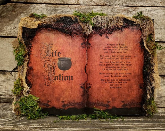 Hocus Pocus Inspired Spell Book, Life Potion, Halloween Decor ...