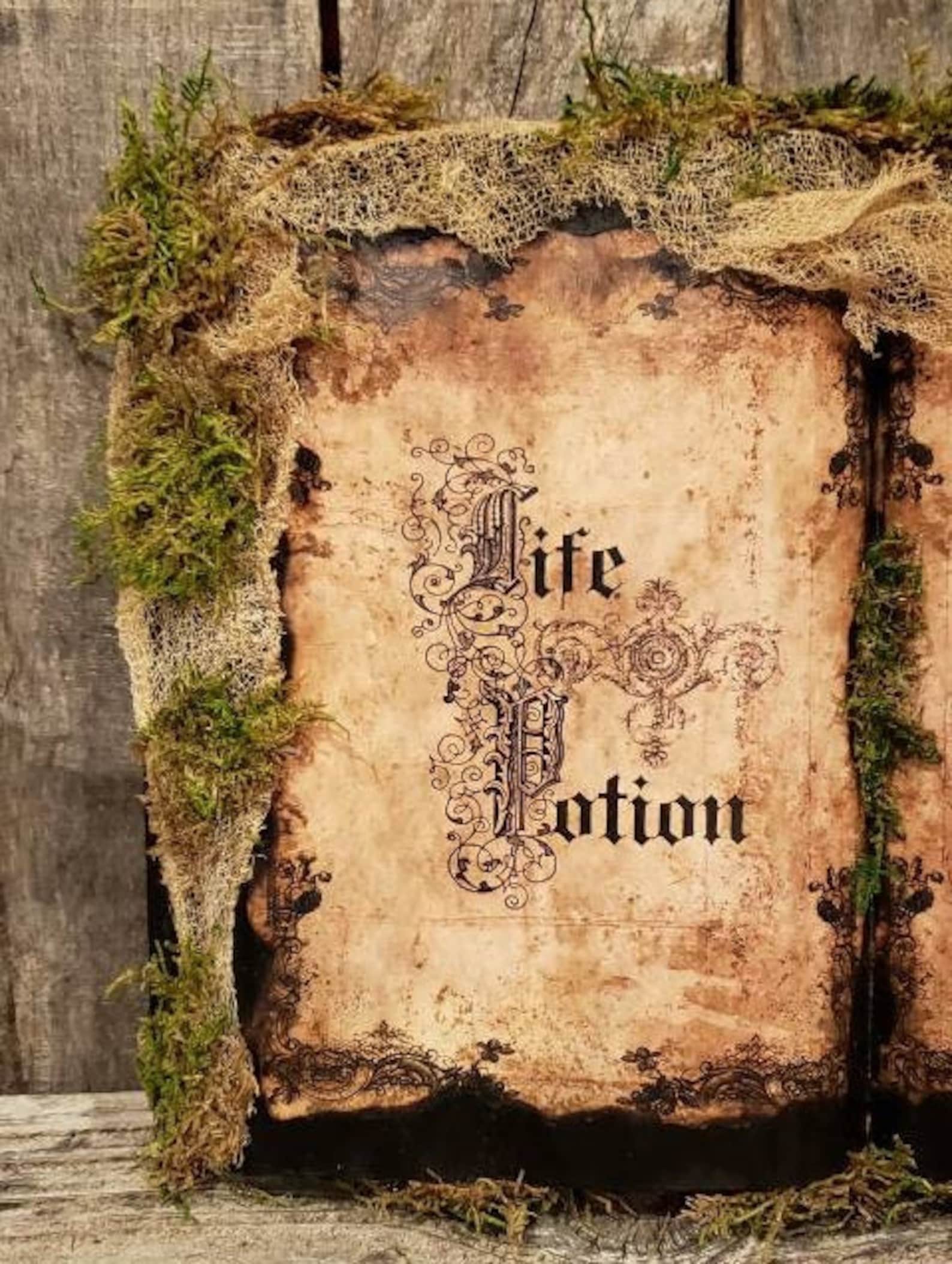 Life Potion Hocus Pocus Inspired Spell Book Halloween Home - Etsy