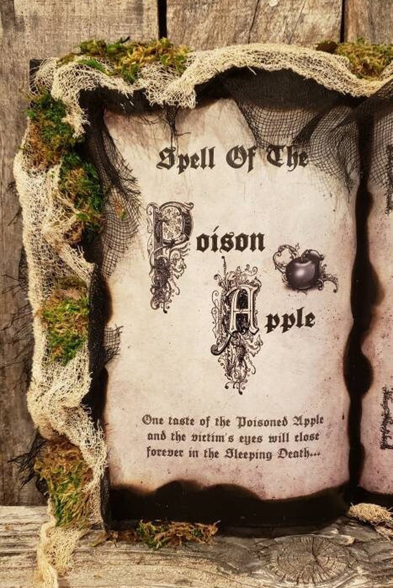 Spell of the Poison Apple Spell Book Snow White Evil Queen | Etsy