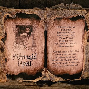 Mermaid Spell, Mermaid Decor, Halloween Decor, Halloween Decorations ...