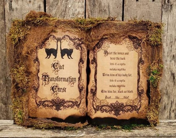 Hocus Pocus Inspired Spell Book Cat Transformation Curse - Etsy