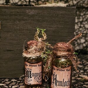 The Witches' Lair Apothecary Chest, Halloween Home Decor, Halloween ...