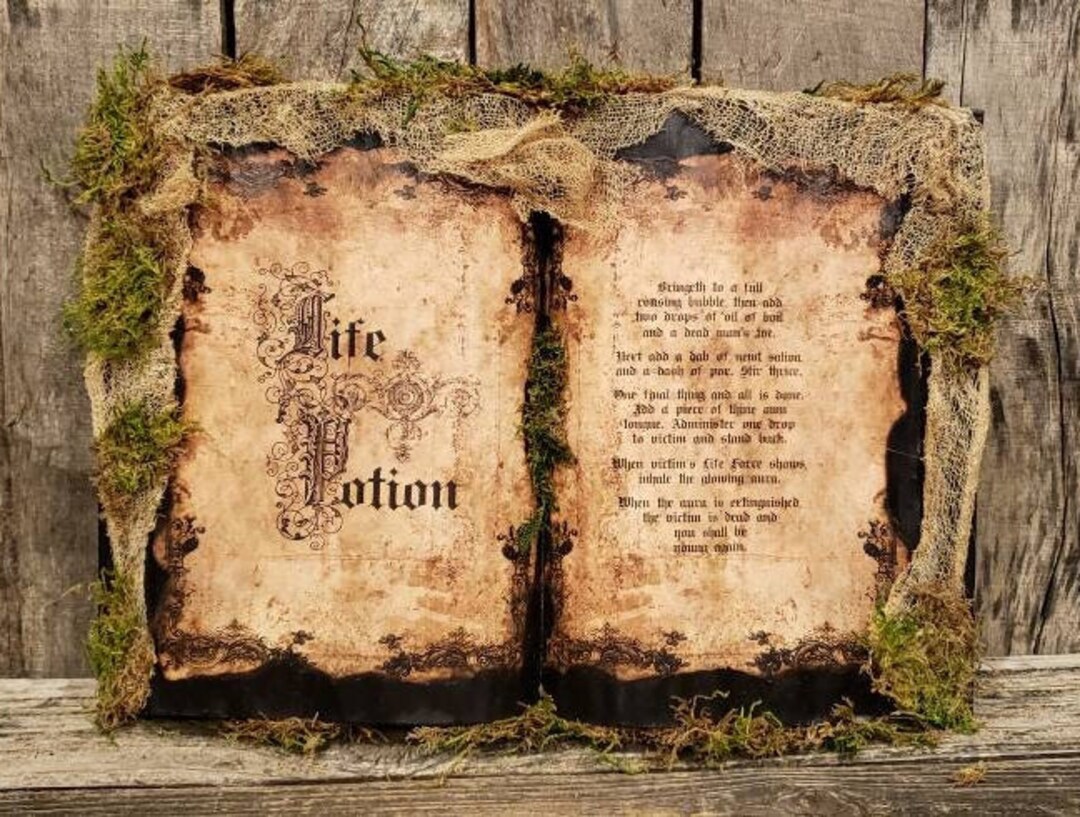 Life Potion Hocus Pocus Inspired Spell Book, Halloween Home Decor ...