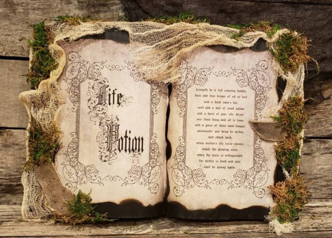 Life Potion, Hocus Pocus Inspired Spell Book, Halloween Decor ...