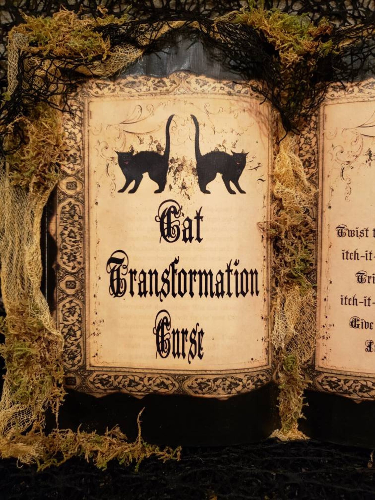 Hocus Pocus Inspired Spell Book Cat Transformation Curse | Etsy