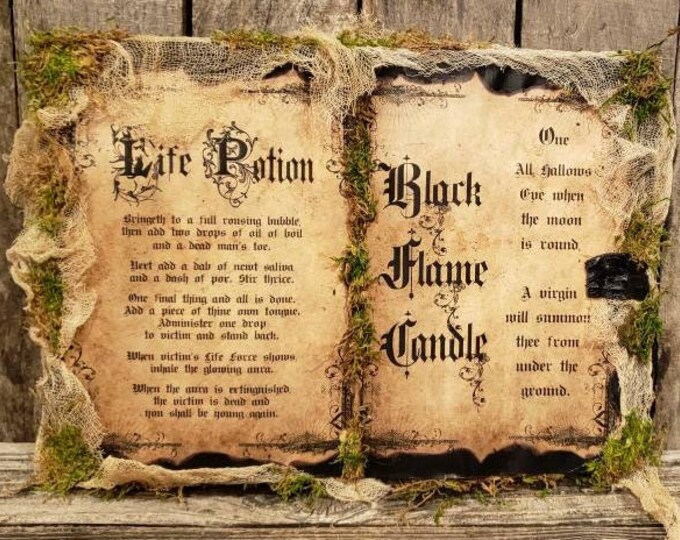 Hocus Pocus Inspired Spell Book, Life Potion and Black Flame Candle ...