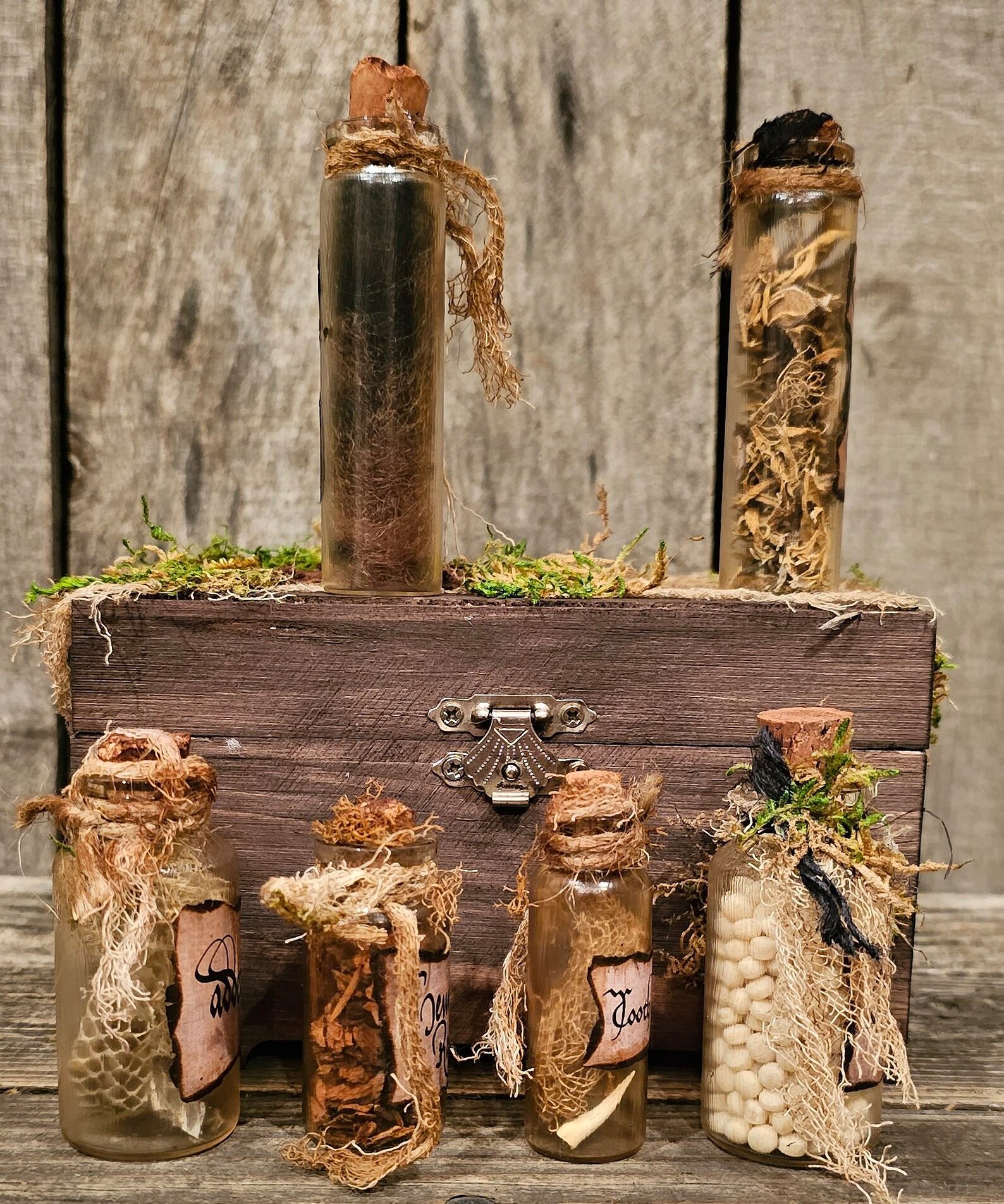 Witches' Brew Mini Apothecary Set, Halloween, Halloween Home Decor ...