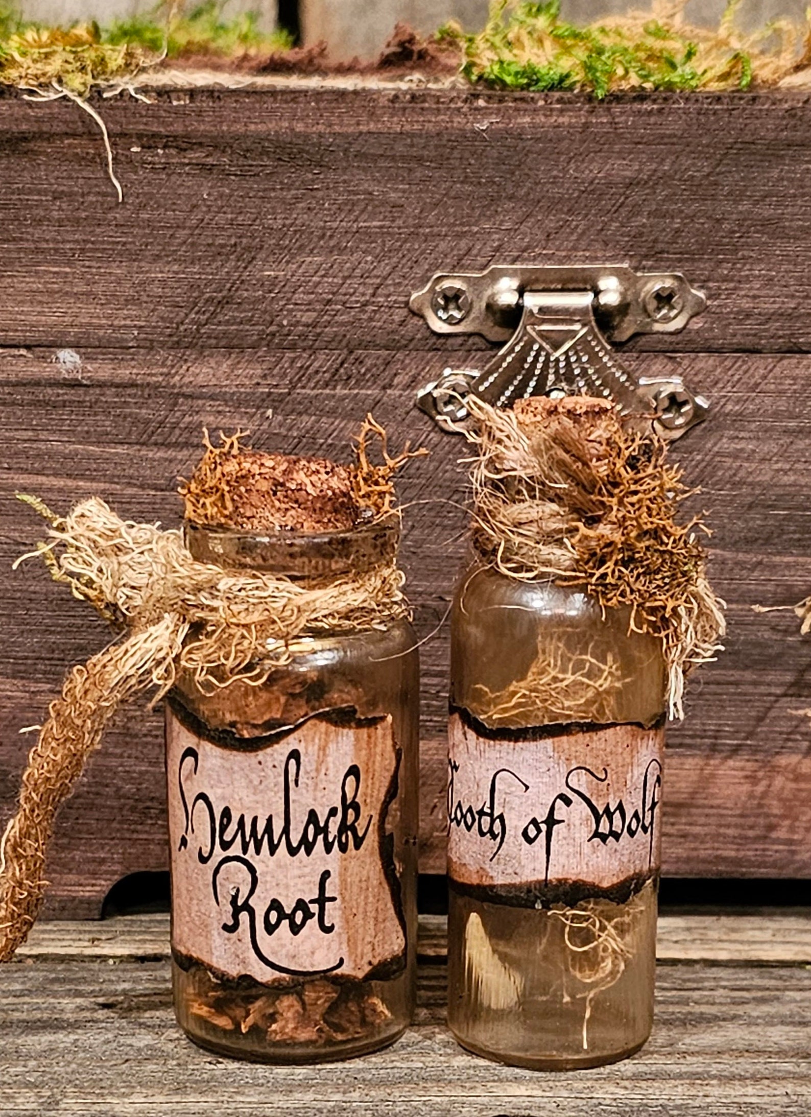 Witches' Brew Mini Apothecary Set, Halloween, Halloween Home Decor ...