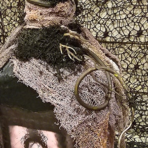 Scary Halloween Potion Bottle, Scary Halloween, Creepy Halloween ...