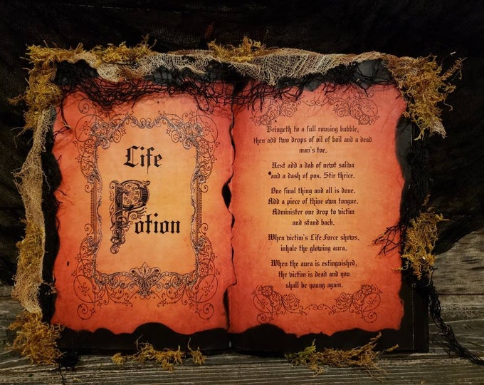 Hocus Pocus Inspired Spell Book, Life Potion, Halloween Decor ...
