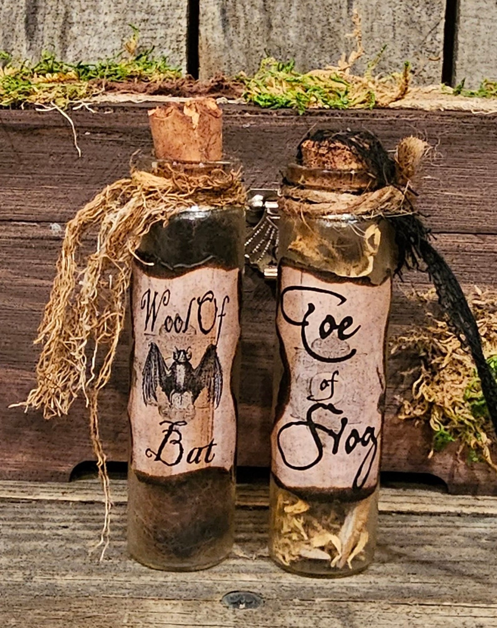 Witches' Brew Mini Apothecary Set, Halloween, Halloween Home Decor ...