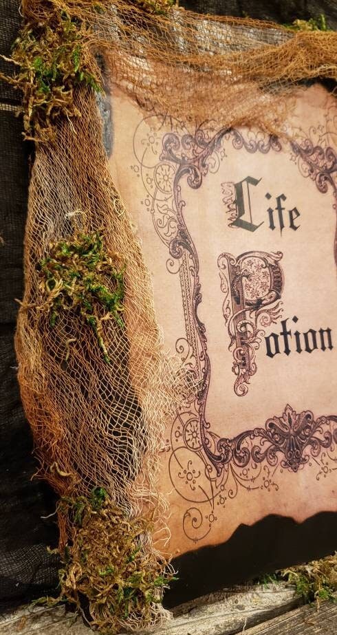 Hocus Pocus Inspired Spell Book: Life Potion Halloween Decor - Etsy