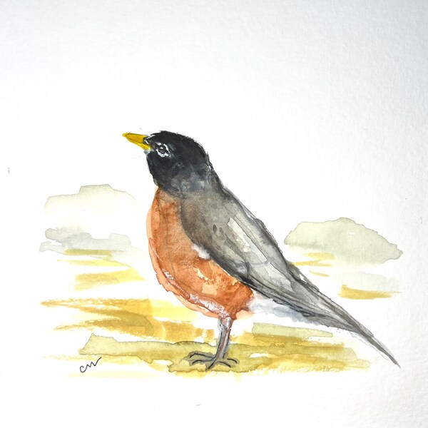 Robin Watercolor - Etsy