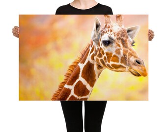 Giraffe canvas art | Etsy