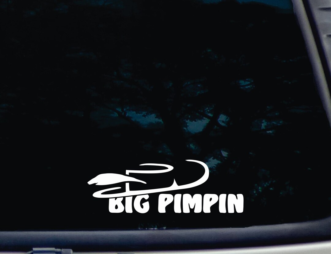 Big Pimpin! - Funny Die Cut Vinyl Window Decal [a-1921] - Etsy