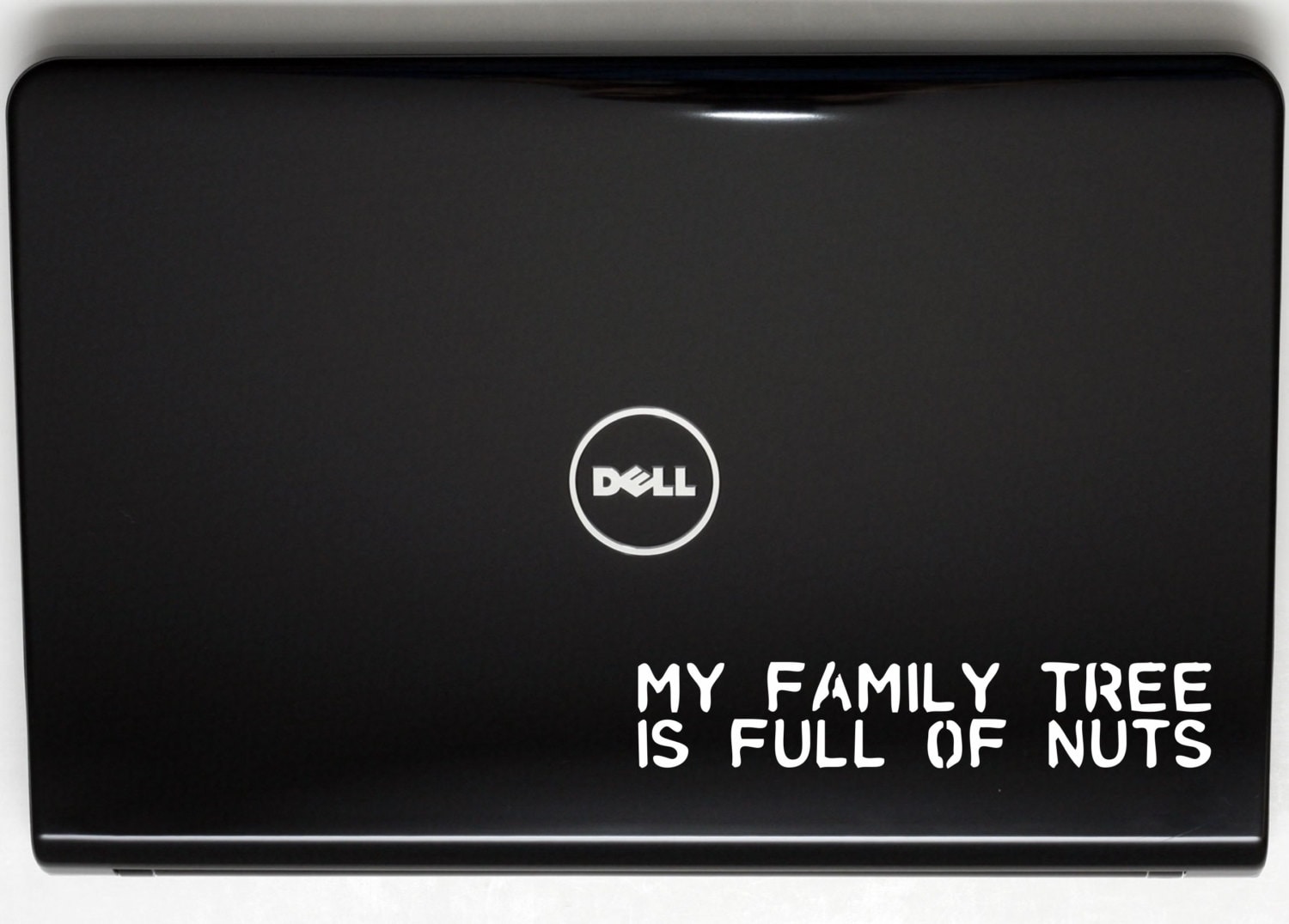 My Family Tree is Full of Nuts! Funny Die Cut Vinyl Decal [a-1841] - Etsy