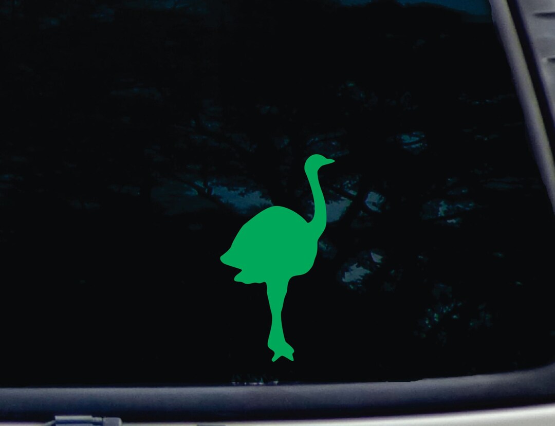 Ostrich! in GREEN - Die Cut Vinyl Window Decal [a-1915] - Etsy