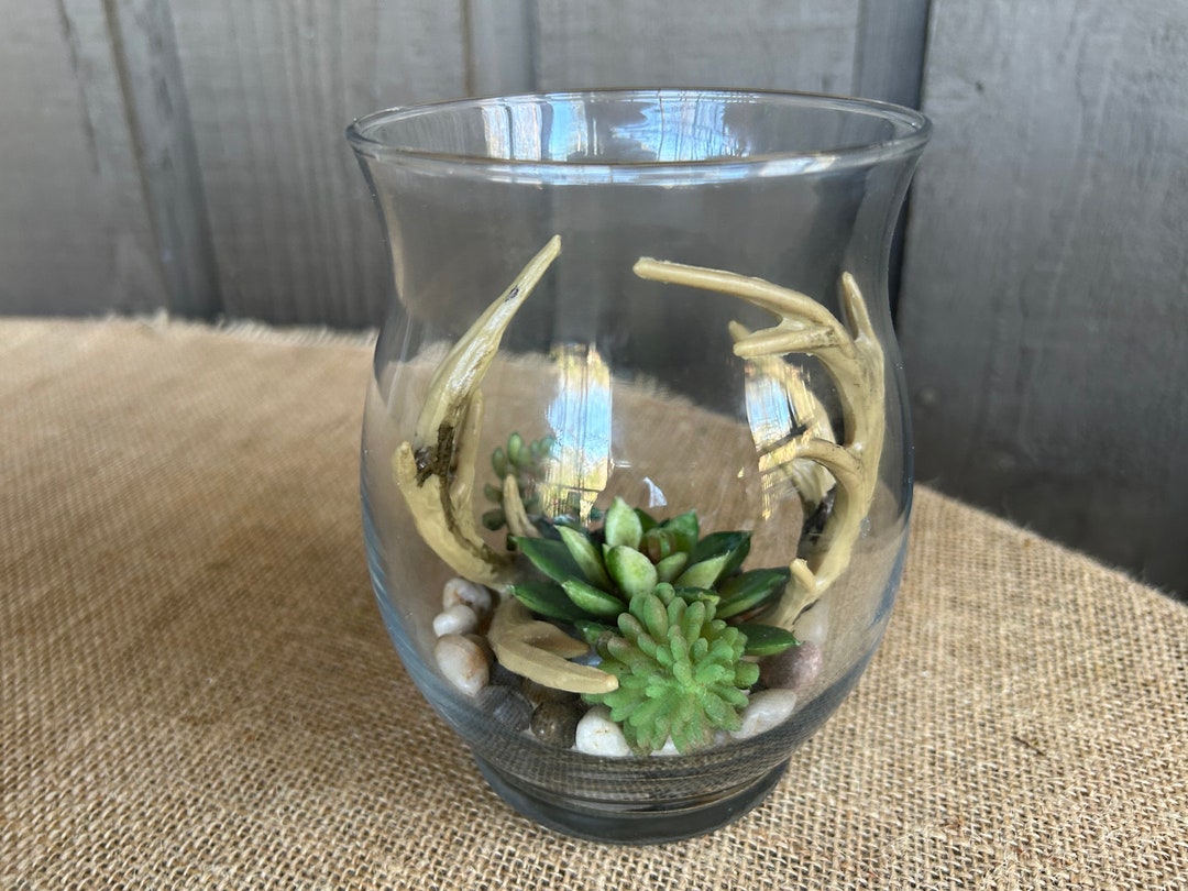 Small Antler Decor/ Antler Succulent Terrarium/antler Decor/succulents ...