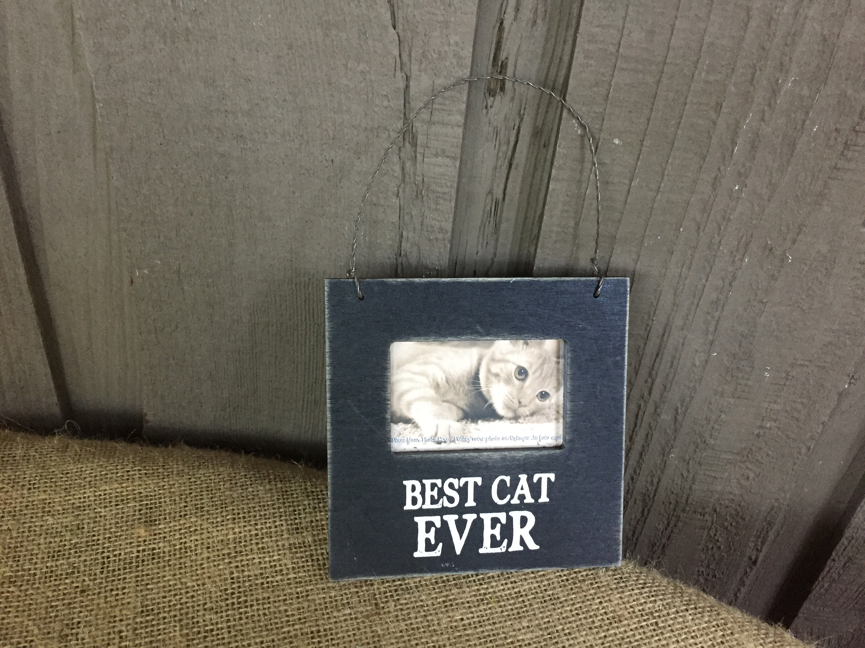 Vintage Cat frame/ frame for cat pictures/ cat picture frames/ | Etsy