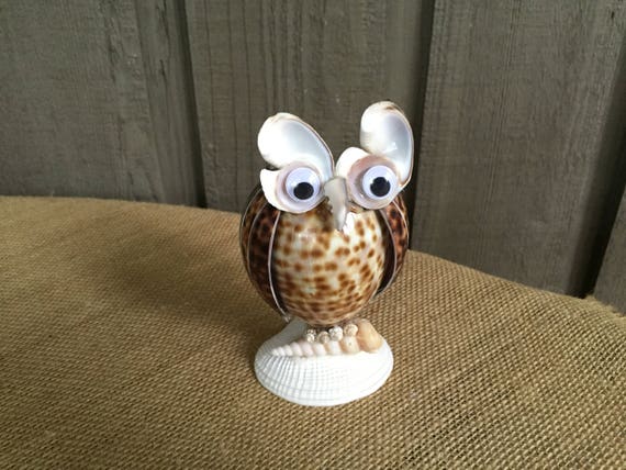 Shell owl/ owl shell/ owl made with shells | Etsy