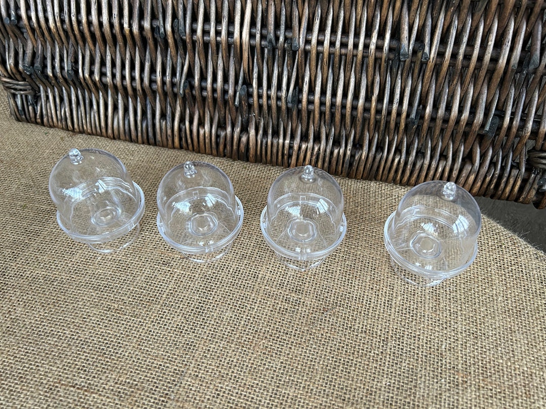 8 Mini Acrylic Cloches With Mini Succulents Plain Clear Mini Cloches ...