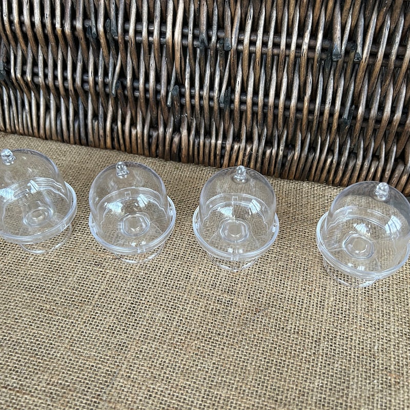 Mini Cloche - Etsy