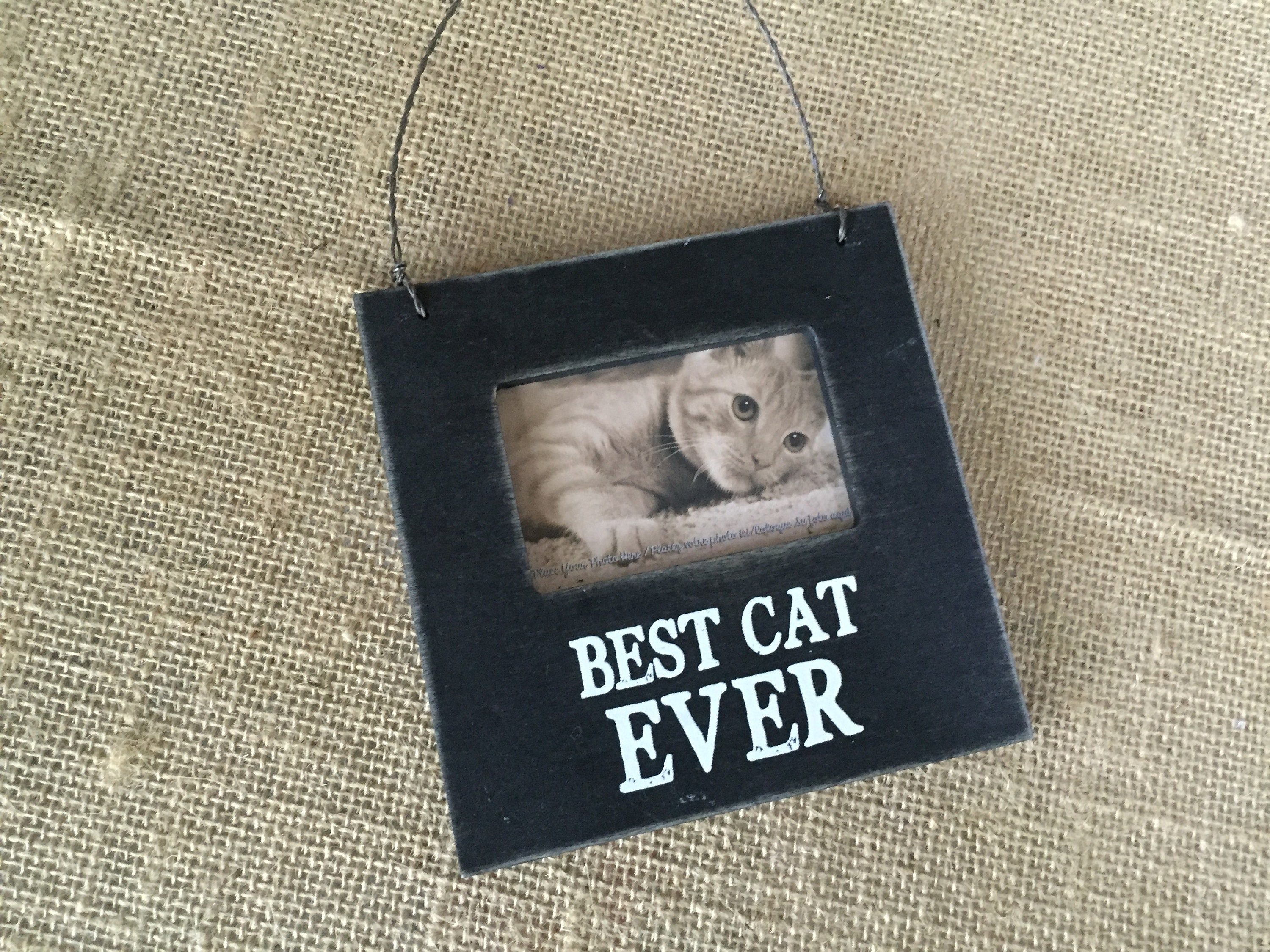 Vintage Cat frame/ frame for cat pictures/ cat picture frames/ | Etsy