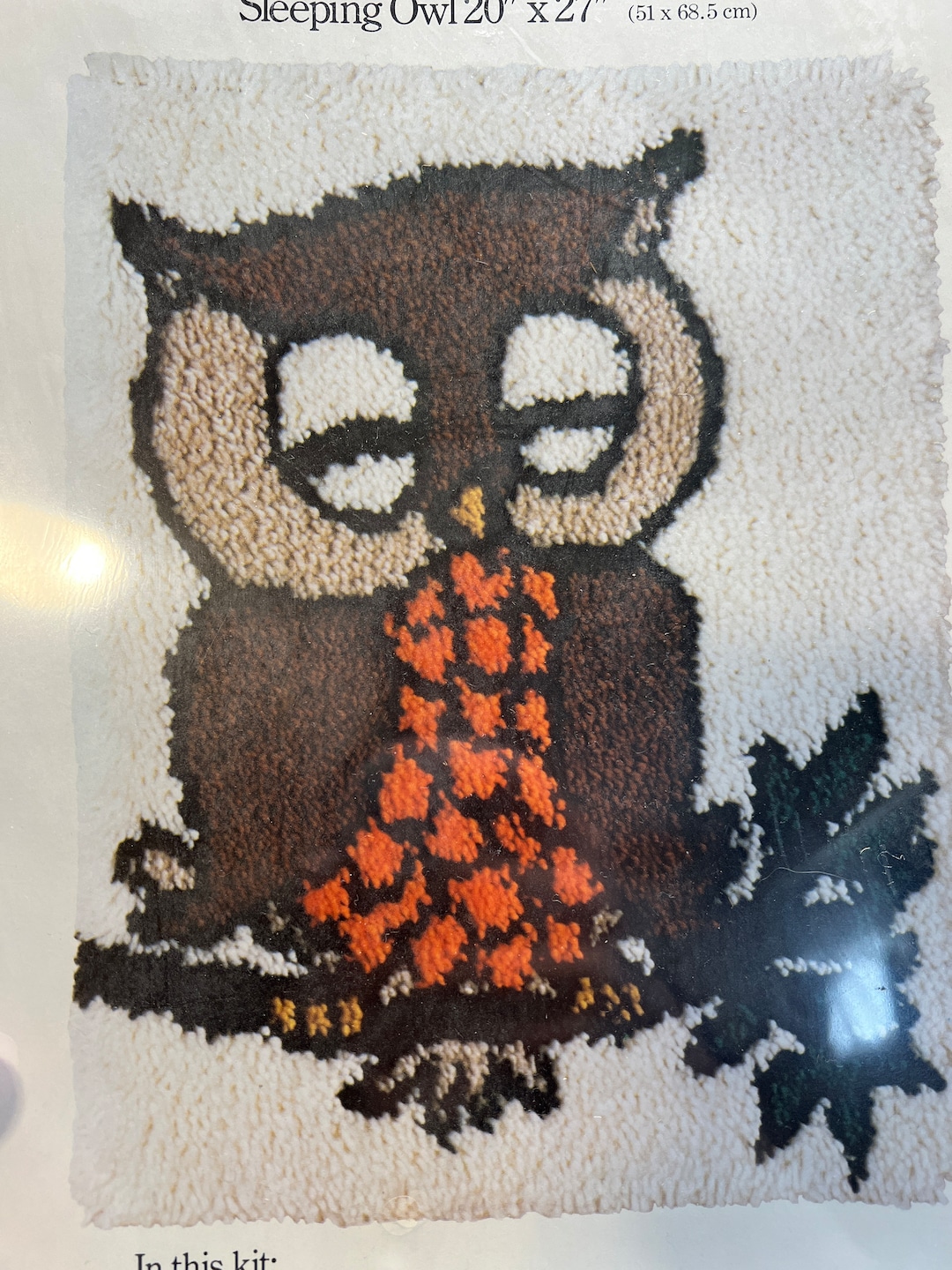 1977 Vintage UNOPENED Latch Hook Kit of an Owl on Branch, Caron Latch ...