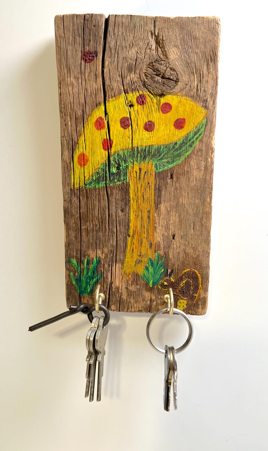 Cute Hand Painted Mushroom, Snail and Ladybug Key Holder, Key Rack Hand ...