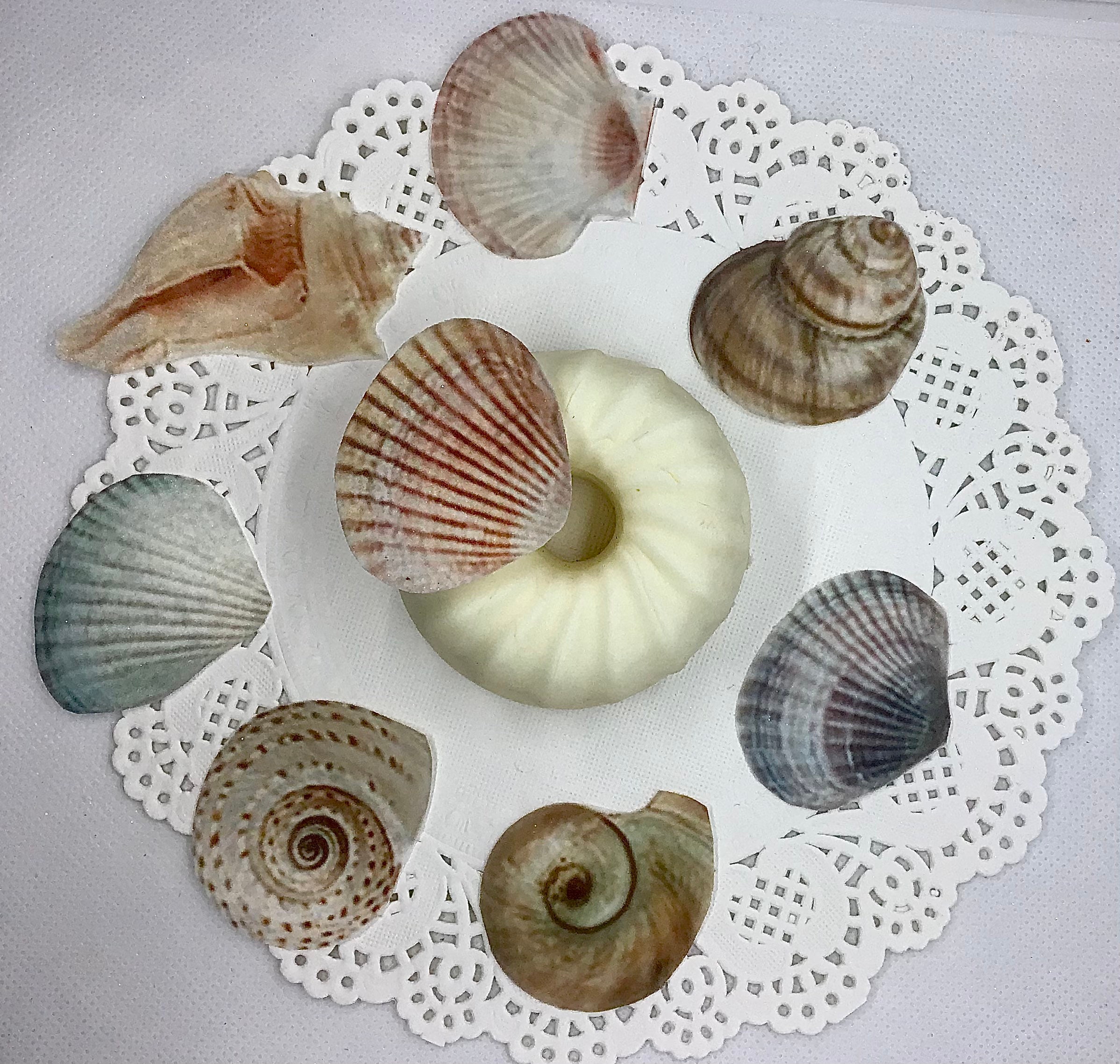 24 PC Set Fancy Edible Wafer Realistic Seashells for Birthdays | Etsy