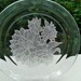 Hoya Crystal of Japan, Hoya Flower of the Month Engraved Crystal Plate ...