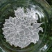 Hoya Crystal of Japan, Hoya Flower of the Month Engraved Crystal Plate ...