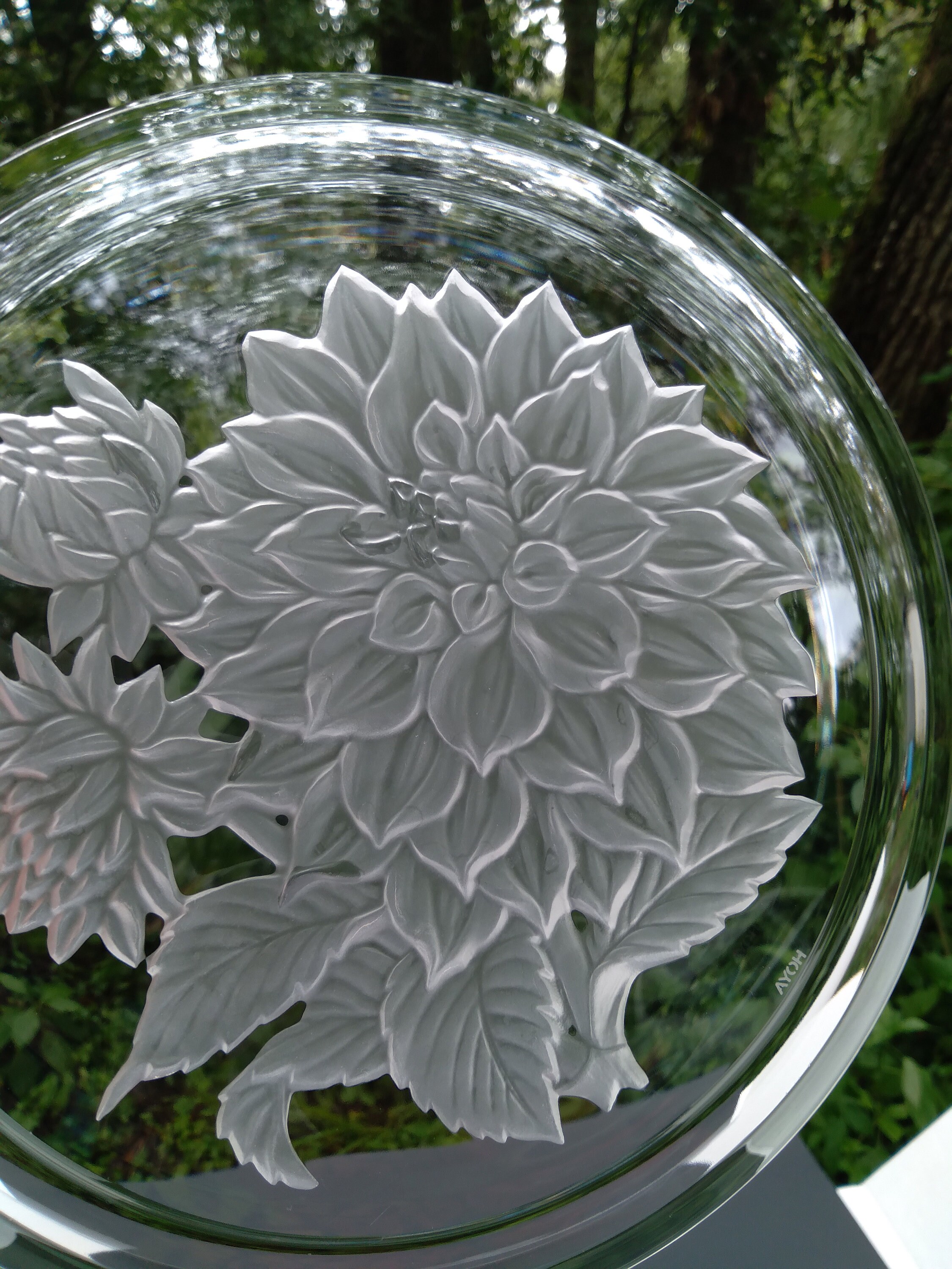 Hoya Crystal of Japan, Hoya Flower of the Month Engraved Crystal Plate ...