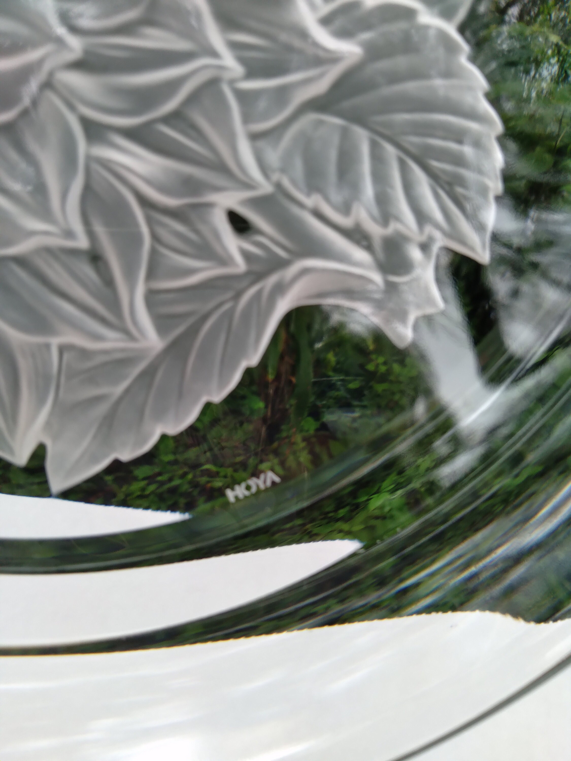 Hoya Crystal of Japan, Hoya Flower of the Month Engraved Crystal Plate ...