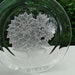 Hoya Crystal of Japan, Hoya Flower of the Month Engraved Crystal Plate ...
