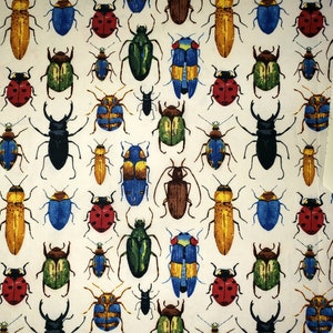 Boy's Tie - Bug Tie - Bugs - Pre Tied Tie - Boy's Necktie - Boy's Neck ...