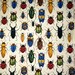 Boy's Tie - Bug Tie - Bugs - Pre Tied Tie - Boy's Necktie - Boy's Neck ...