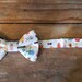 Boy's Tie or Bow Tie Bug Tie Bugs Pre Tied Tie - Etsy