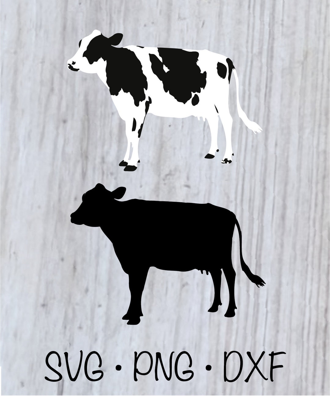 Cow - SVG Digital Download - Etsy