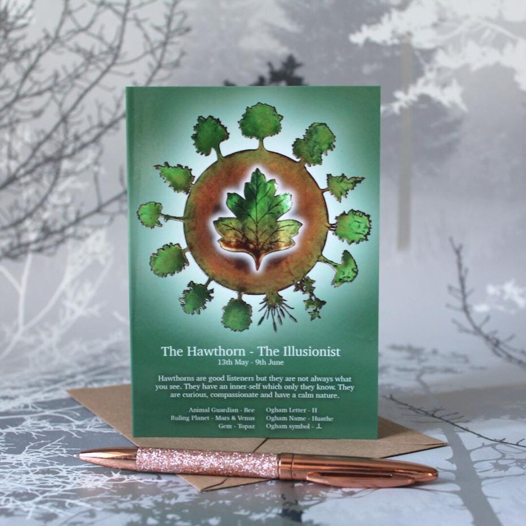 The Hawthorn - Celtic Tree Calendar Card - 13th May - 9th Jun - Etsy UK