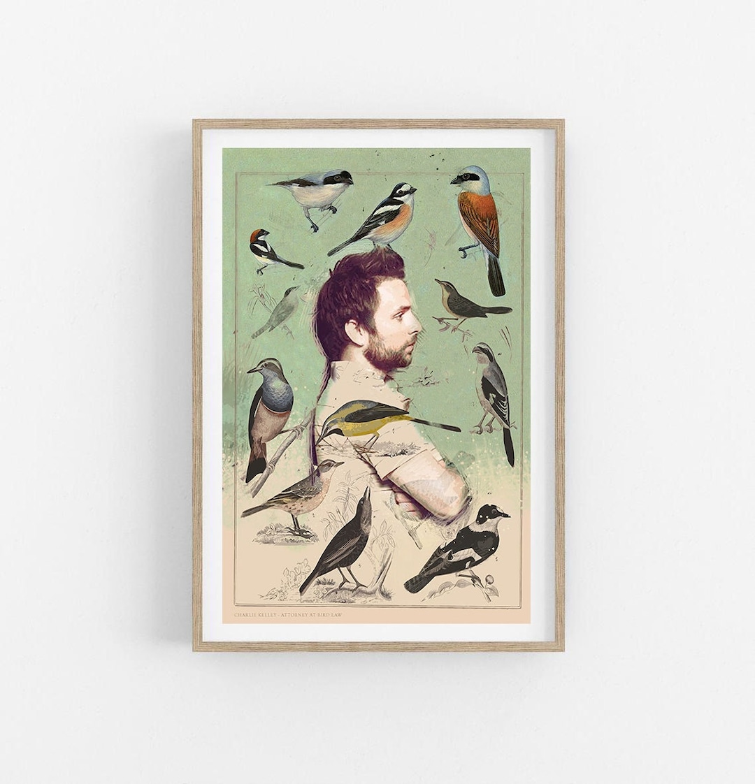 It's Always Sunny 'bird Law' Poster: Funny Comedy Print - Etsy