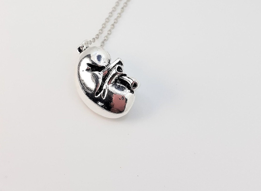 Anatomical Kidney Necklace: Renal Science Gift, Nephrology Jewelry - Etsy