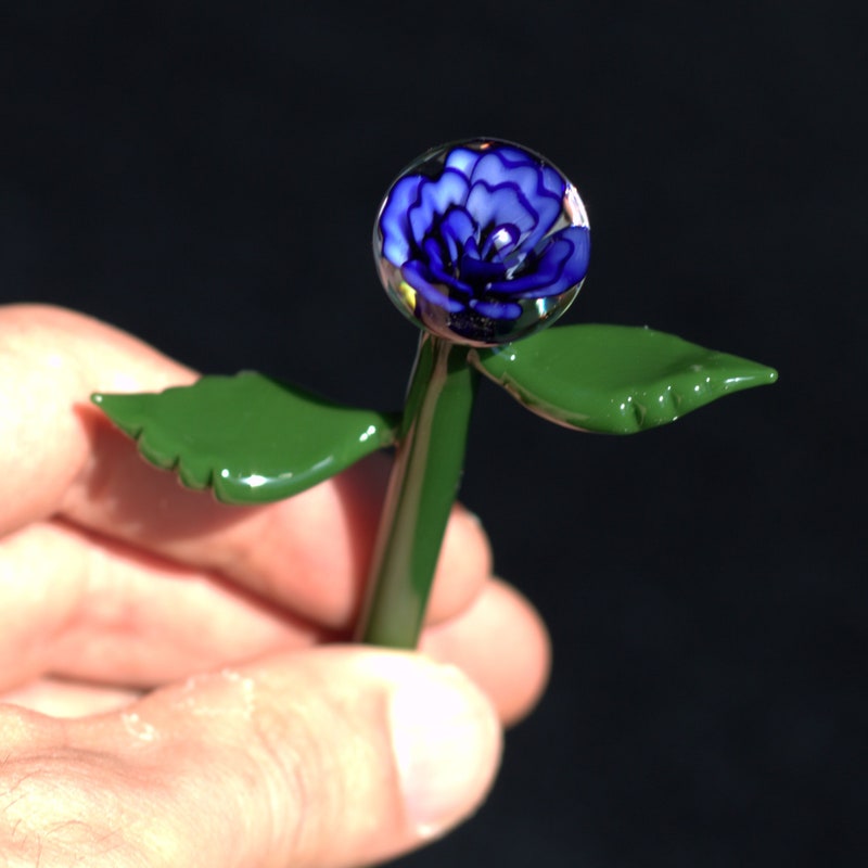 Blue Roses - Etsy