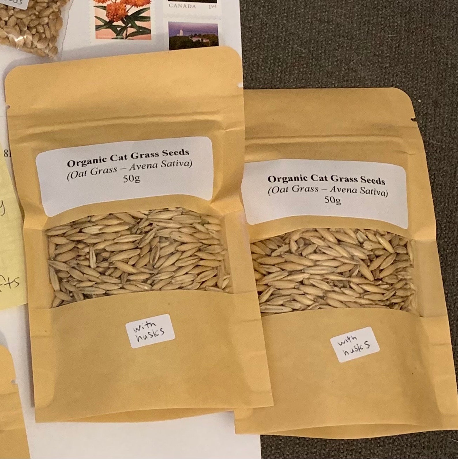 Organic Oat Grass Seeds With Husks || Pet Grass Seeds || Cat Grass ...