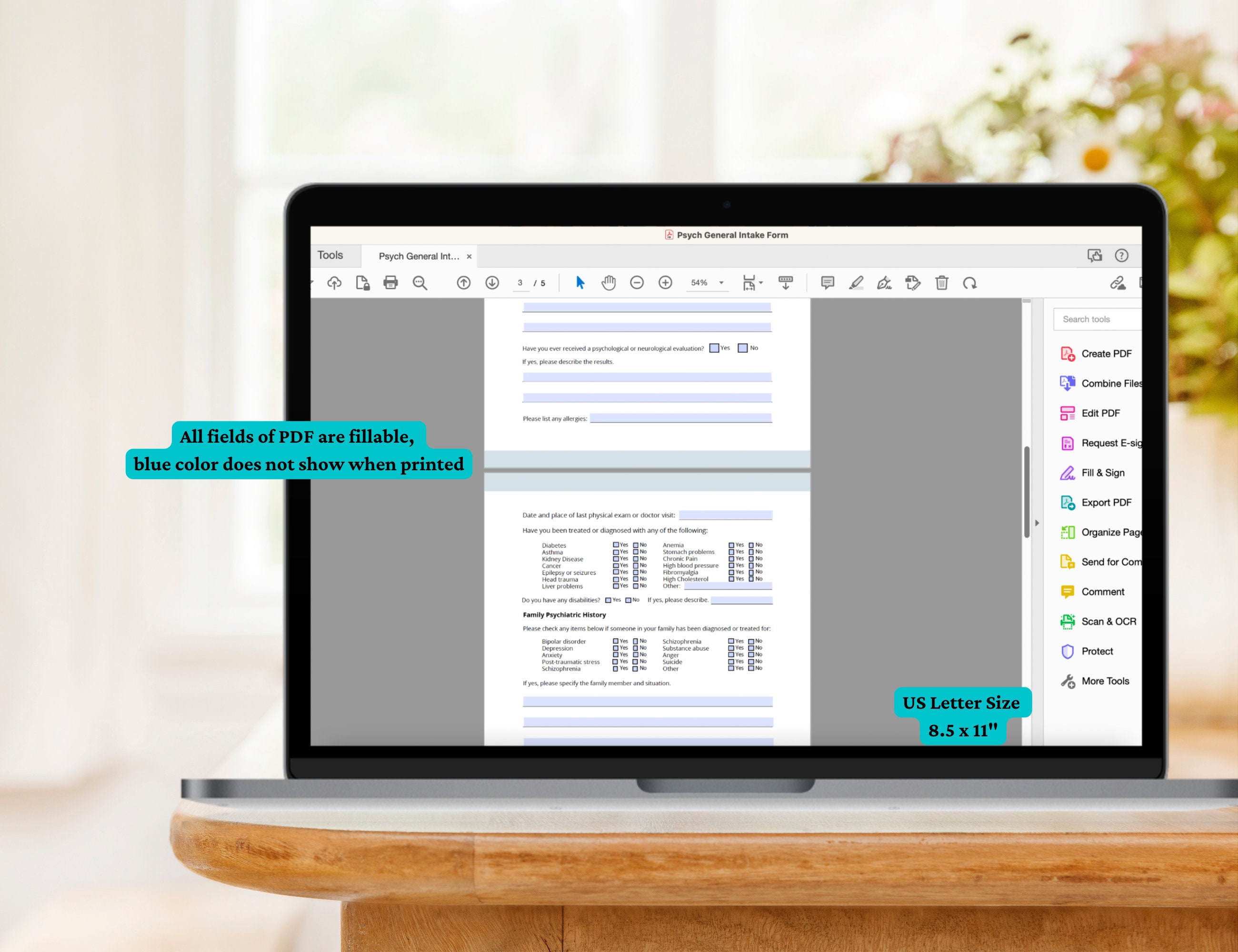 Psych Intake Form, General Information Intake Fillable PDF, Editable - Etsy