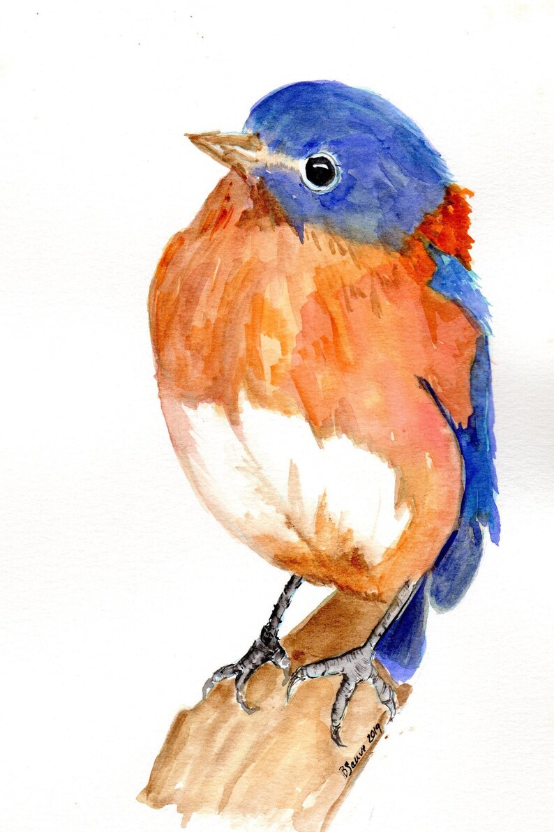 Bluebird watercolor painting original watercolor painting | Etsy