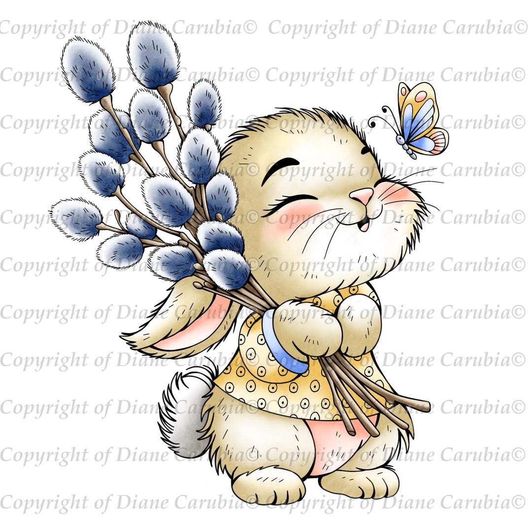 Willow Bunny, Black and White Digital Stamp, Colouring Page, JPEG - Etsy