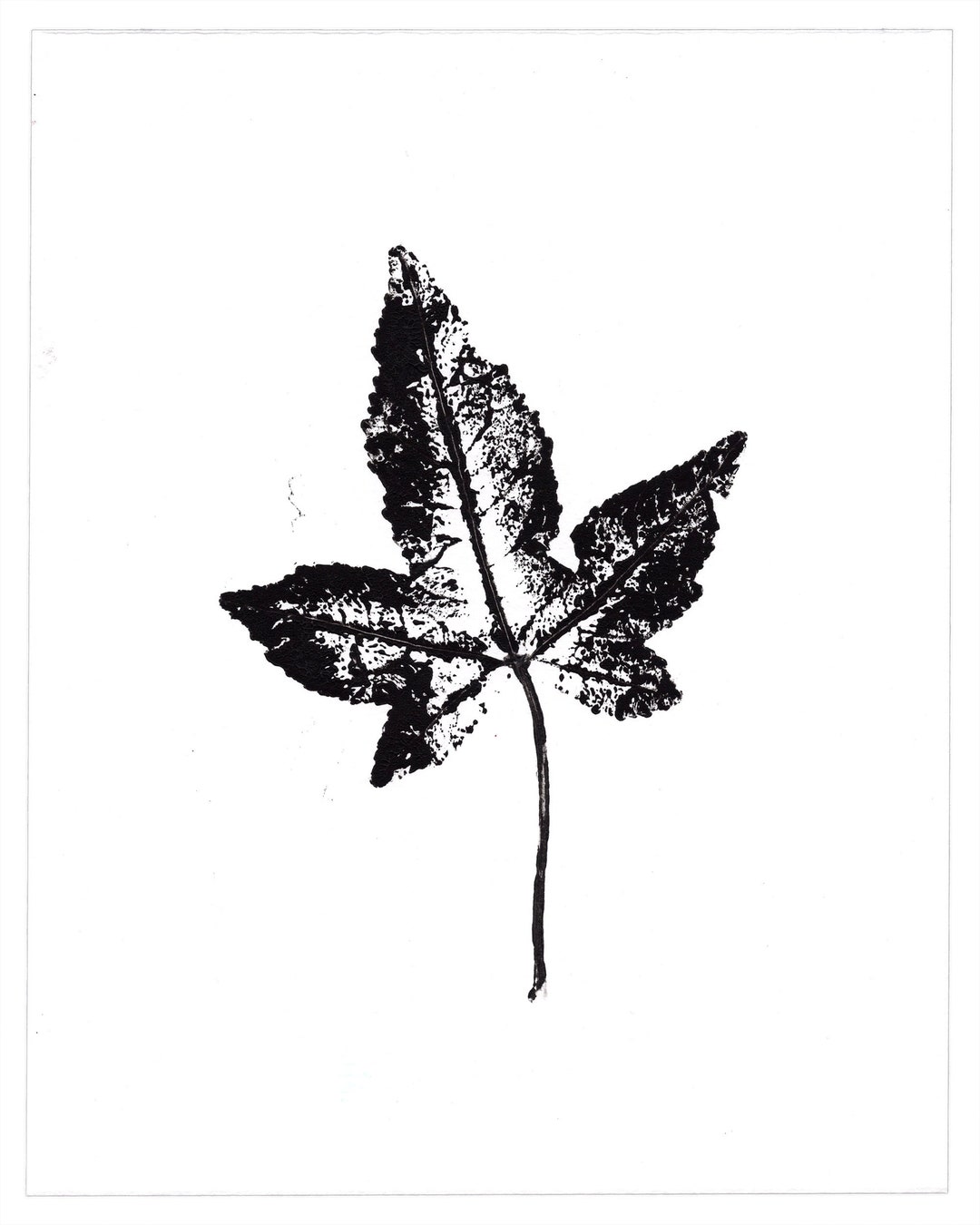 Maple Leaf Ink Print, Organic, Printmaking, Leaves, Plants, Flowers ...